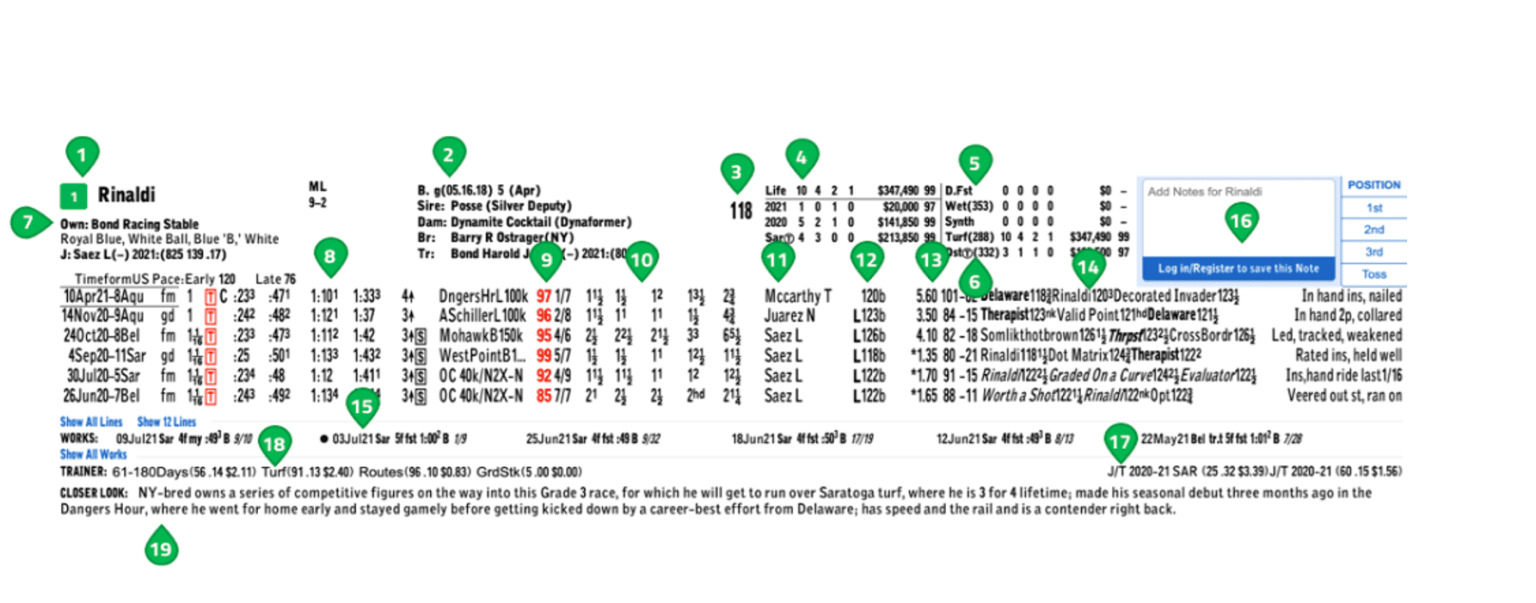 How To Read A Horse Racing Form - Tips For Beginners & Enthusiasts